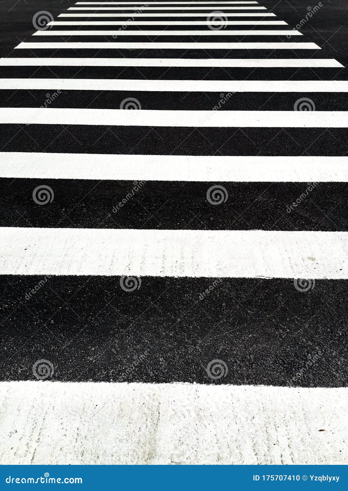 Traffic Road Zebra Crossing Lines Marking Sign on City Street Stock ...