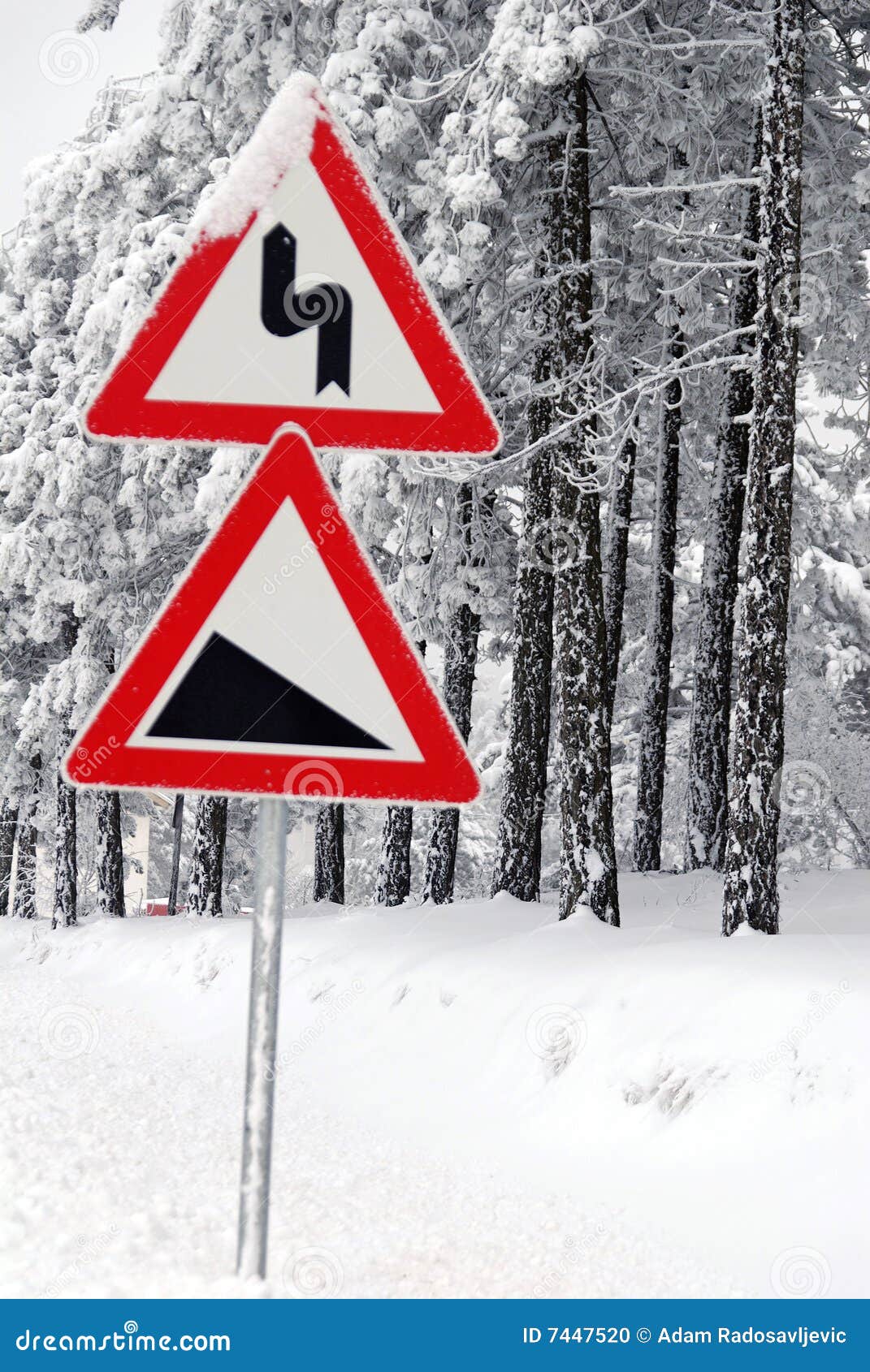 Traffic road sign in snow stock photo. Image of winter - 7447520