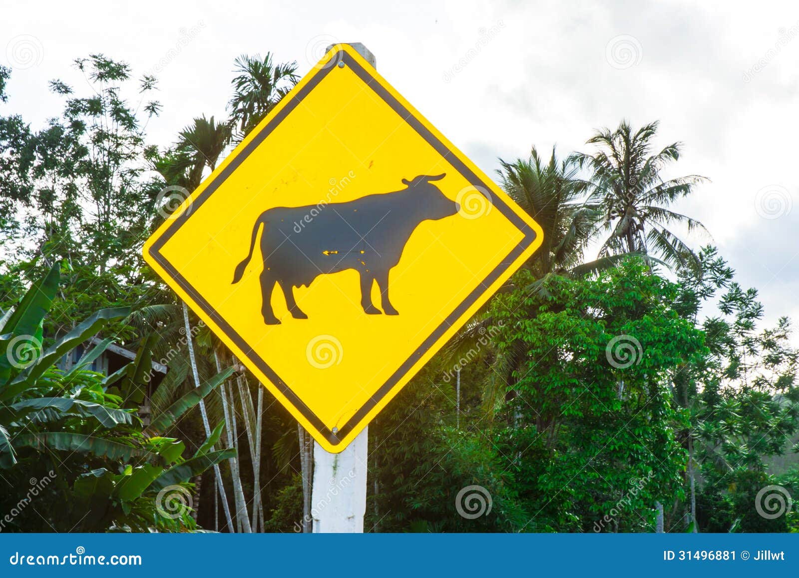 A Traffic Sigh That Turna Sharp Turn To The Left Is A Warning Sigh For ...