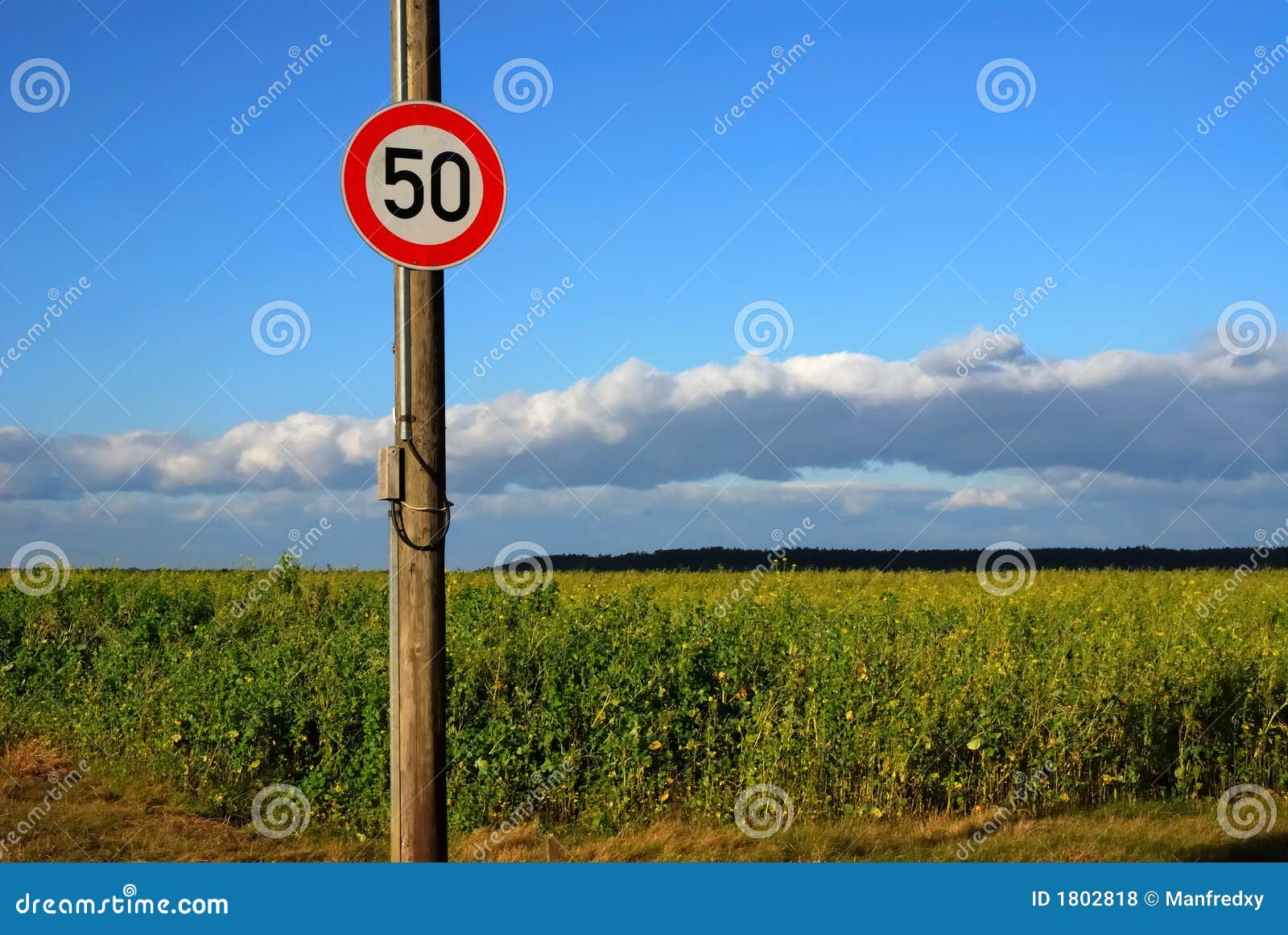 Traffic sign: only 50 stock photo. Image of prohibition - 1802818