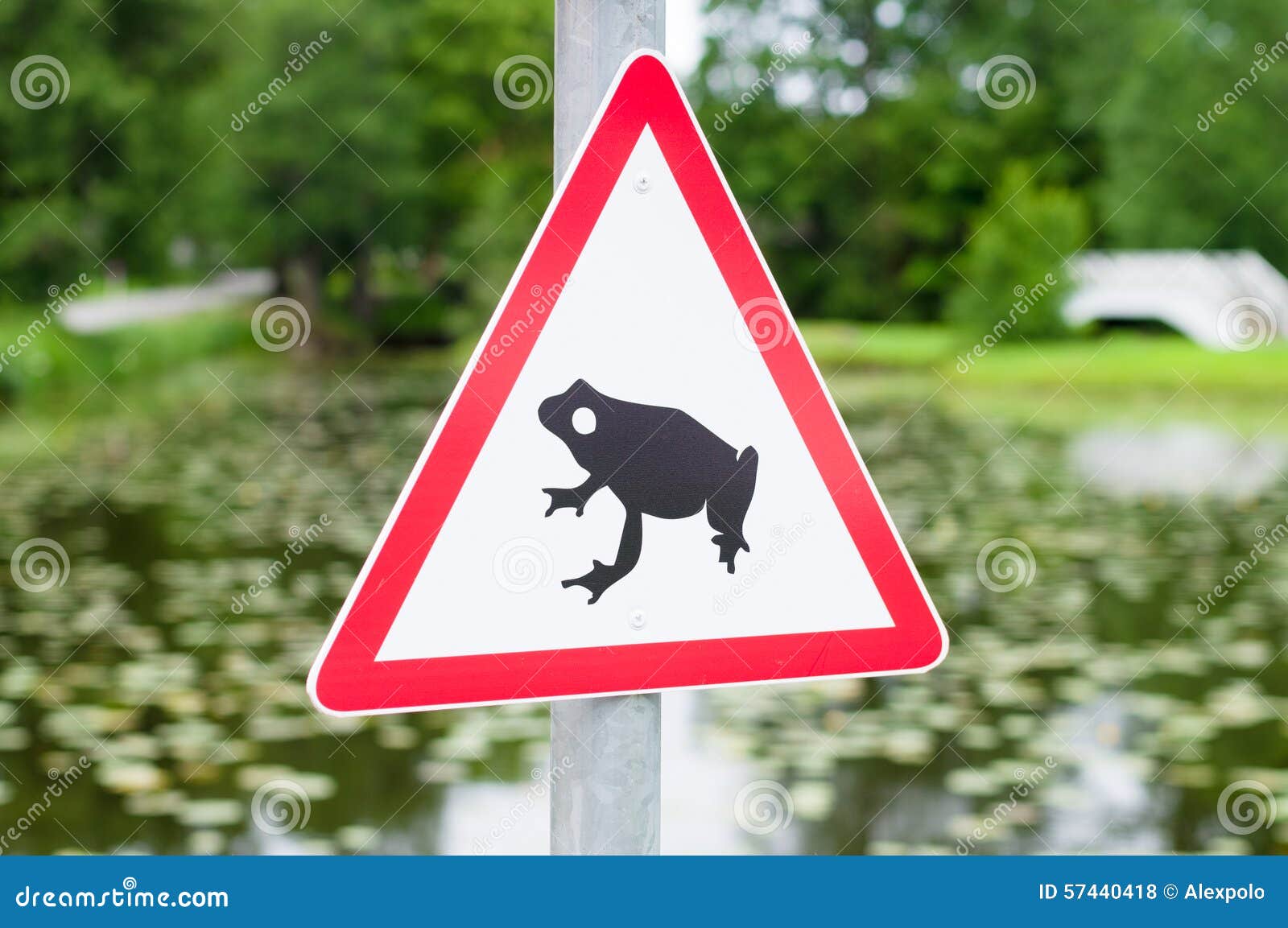 Traffic Sign Attends for Frog Migration Stock Photo - Image of respect ...