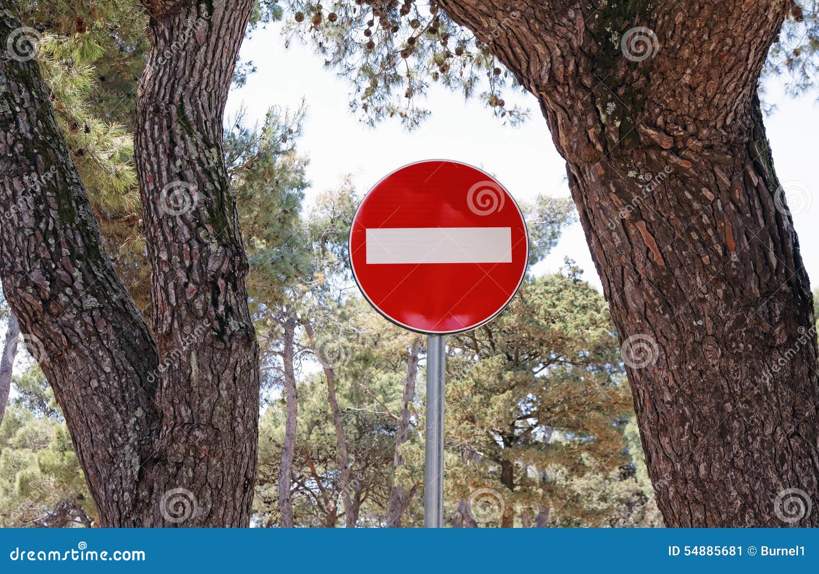 Traffic sign stock image. Image of roadside, traffic - 54885681