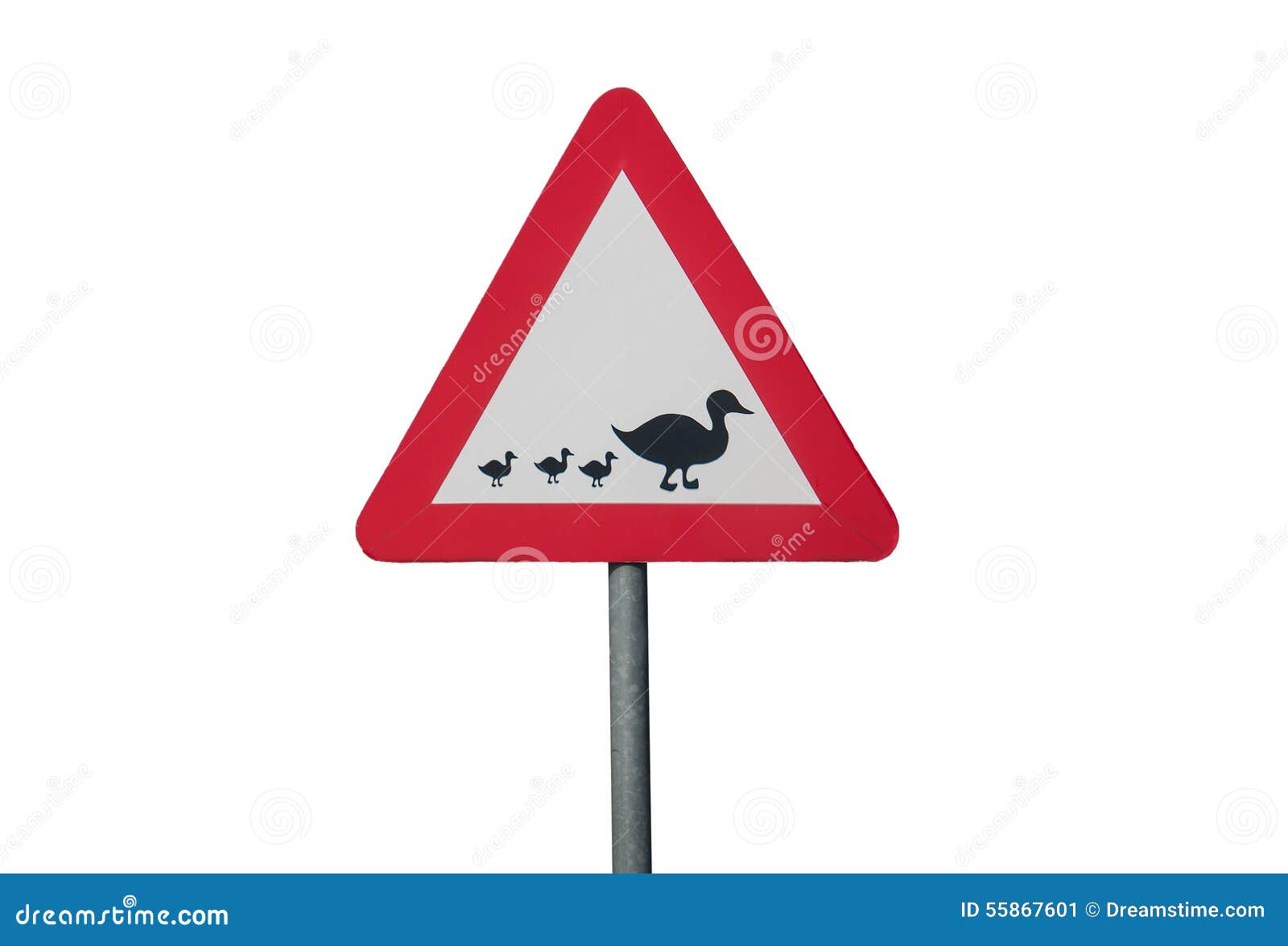 A Traffic Sign With Ducks Royalty-Free Stock Photography ...