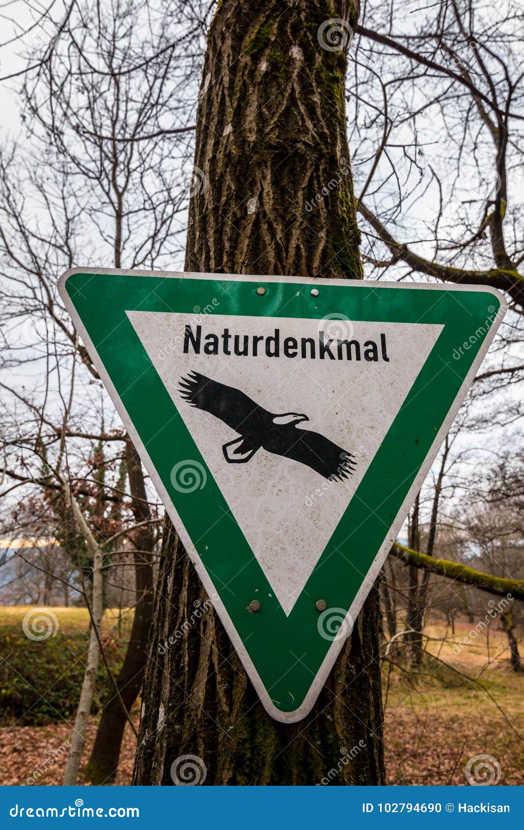 Traffic sign in the forest stock photo. Image of sign - 102794690