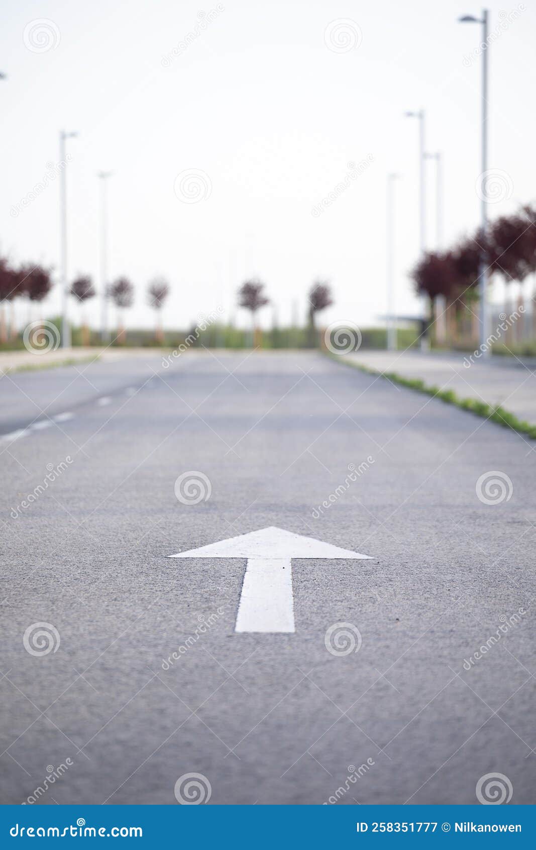 Traffic Sign Painted on the Road with Arrow Stock Image - Image of ...
