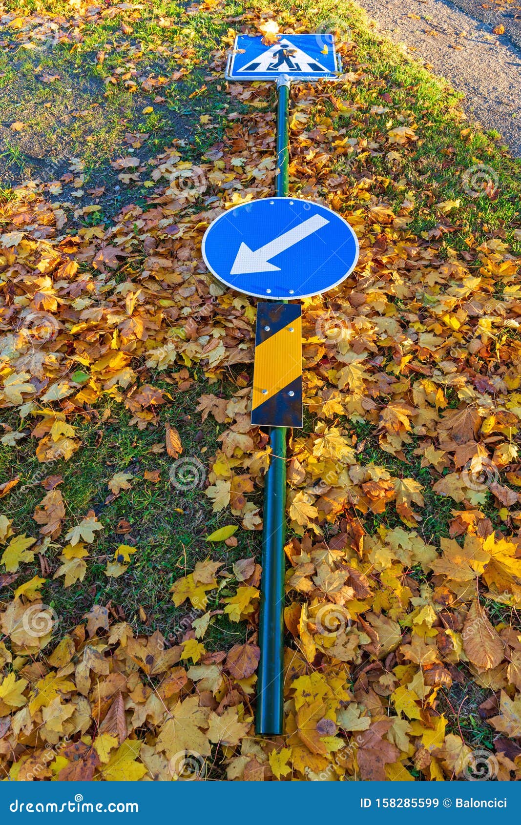 Traffic Sign Pole Down stock image. Image of foliage - 158285599