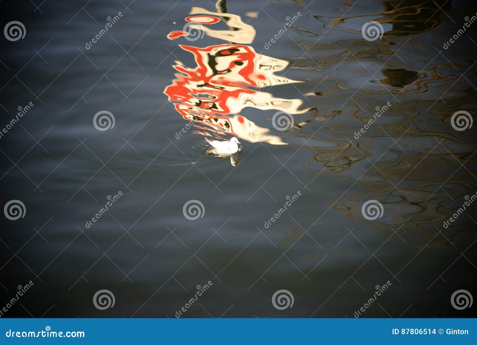 Traffic Sign Reflection in the River Stock Photo - Image of bird, bent ...