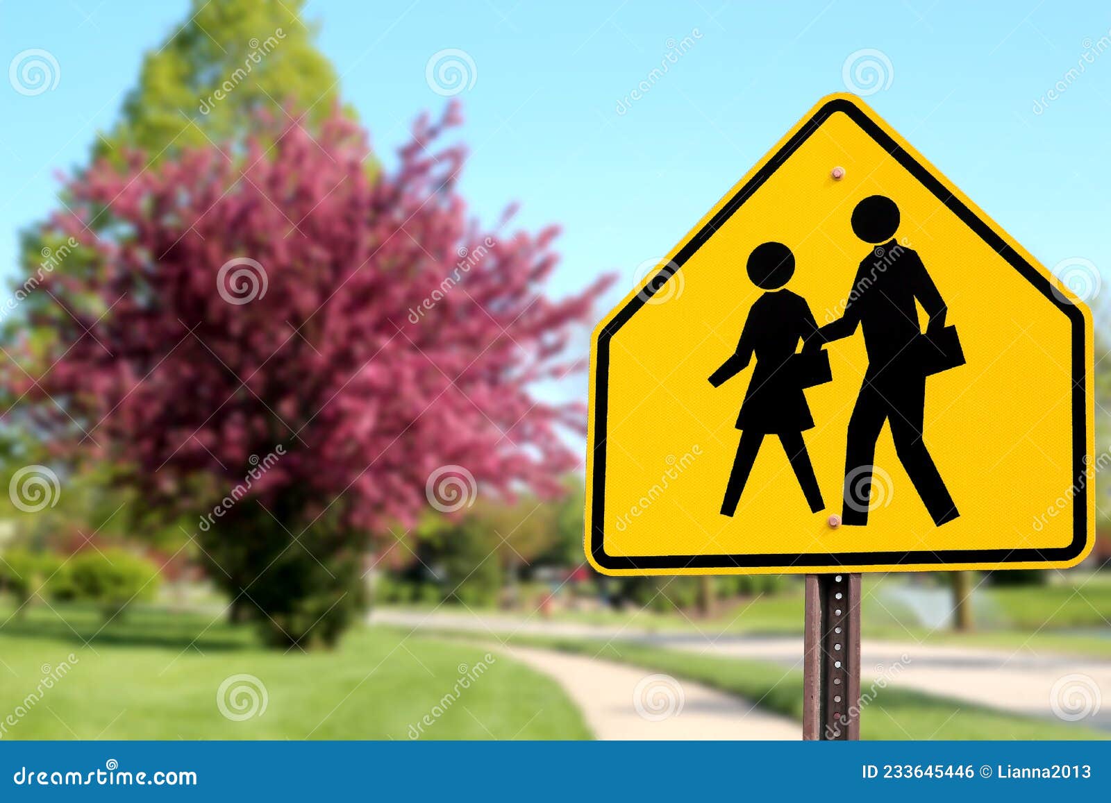 Traffic School Warning Sign) Stock Photo | CartoonDealer.com #29255256