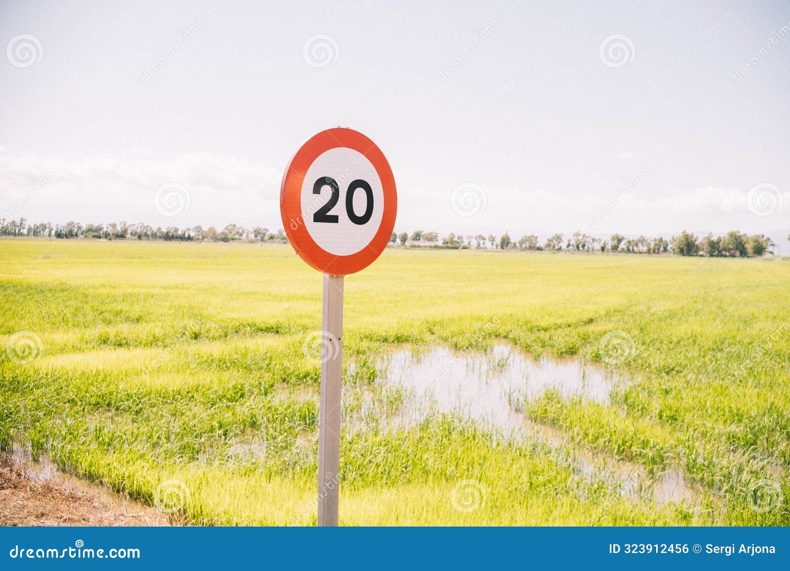 Traffic Sign Speed at 20 Km, in the Middle of the Field Stock Photo ...
