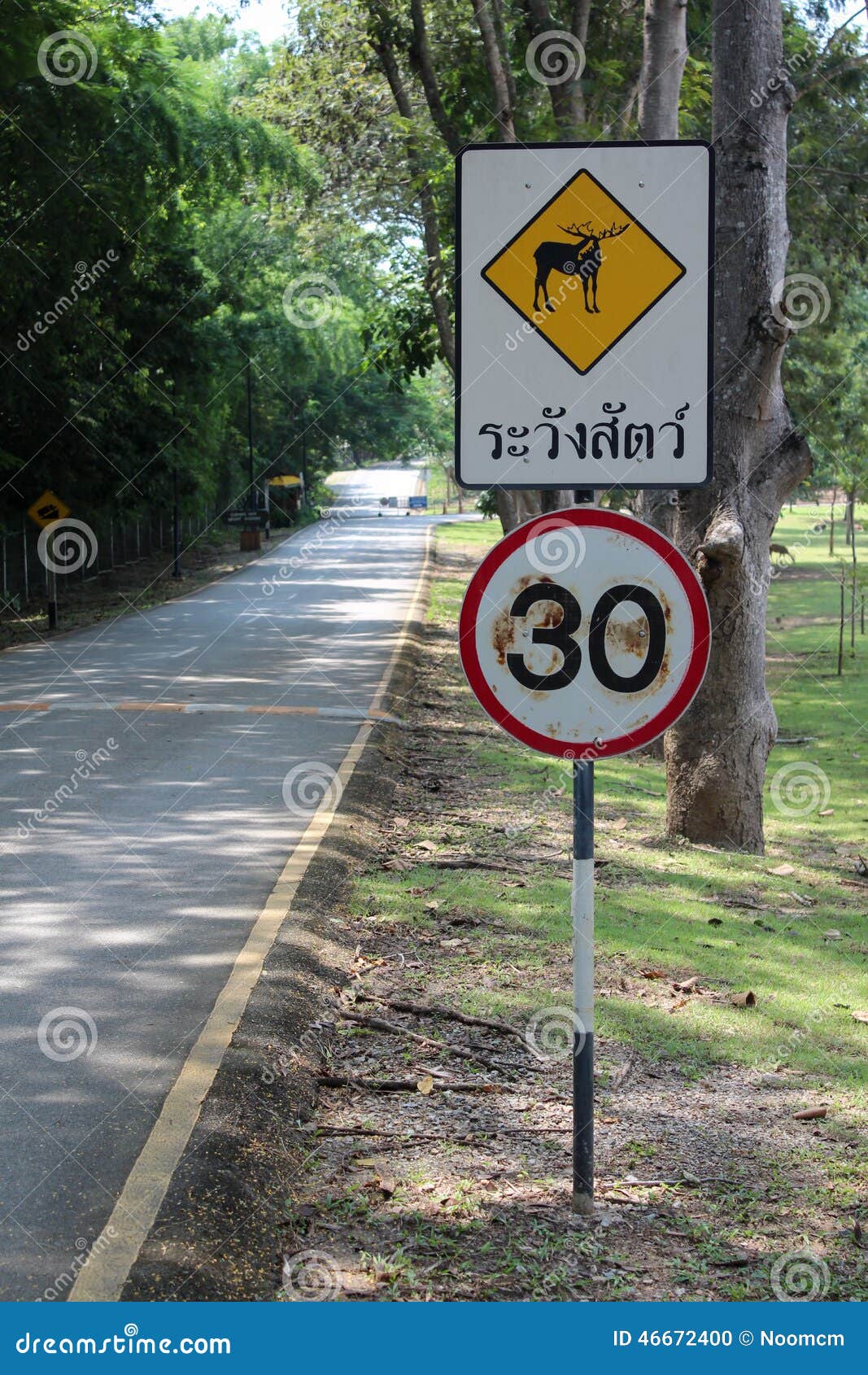 Traffic sign. stock photo. Image of meadow, deer, limit - 46672400