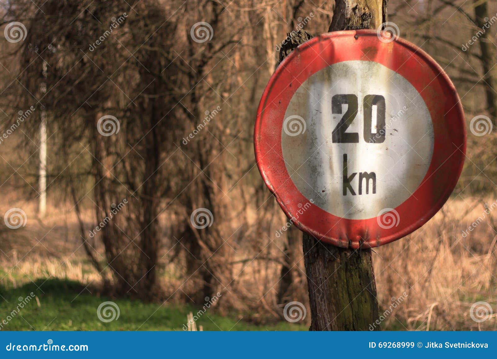Traffic sign on a tree stock image. Image of marking - 69268999