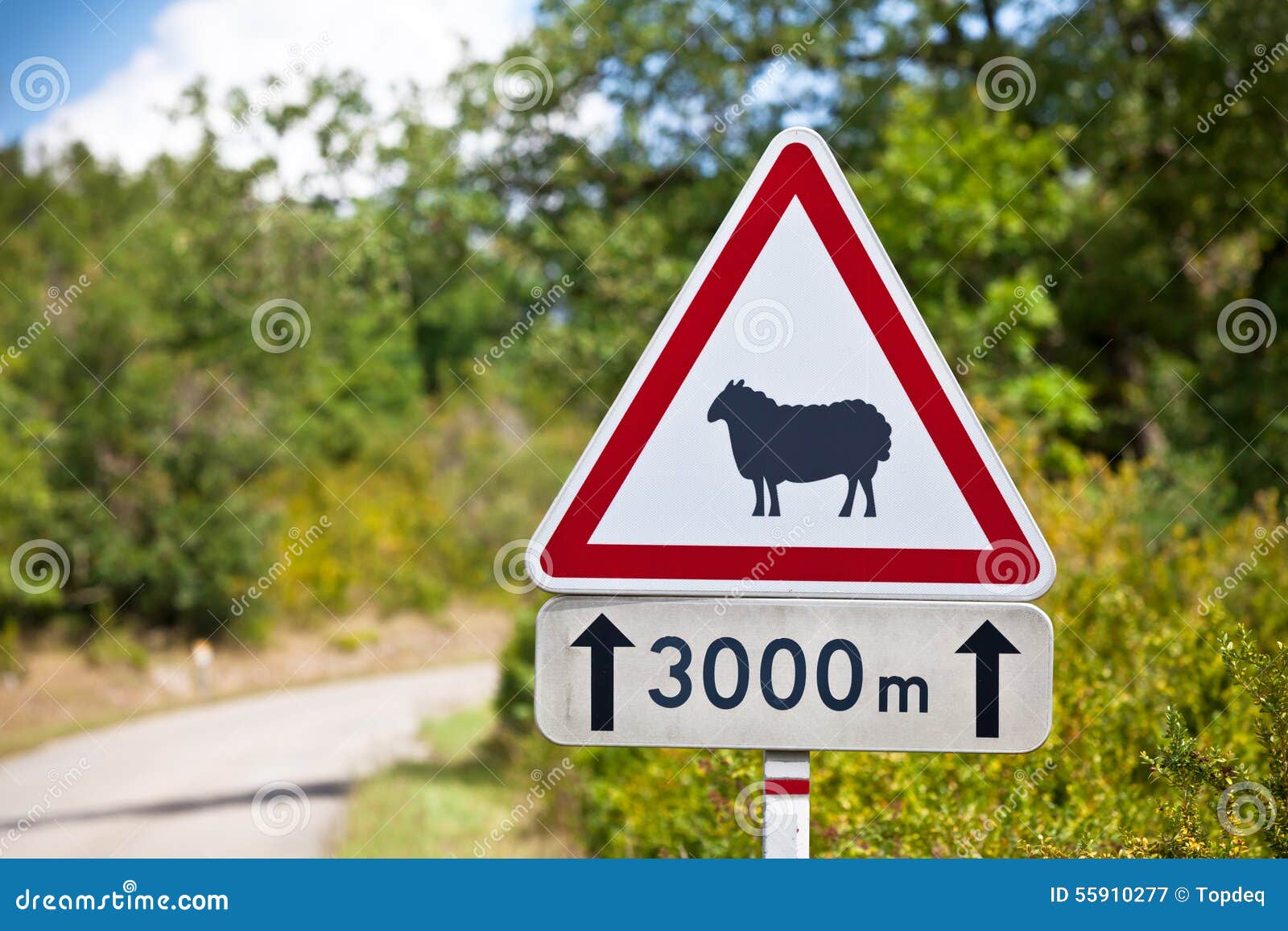 Traffic Sign Warning Of Sheep On The Road Royalty-Free Stock Photo ...