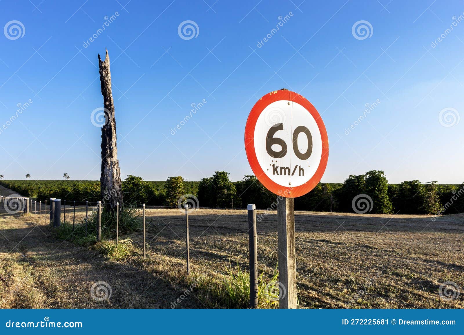 Traffic Signpost, Which Indicates the Maximum Speed Allowed at the ...