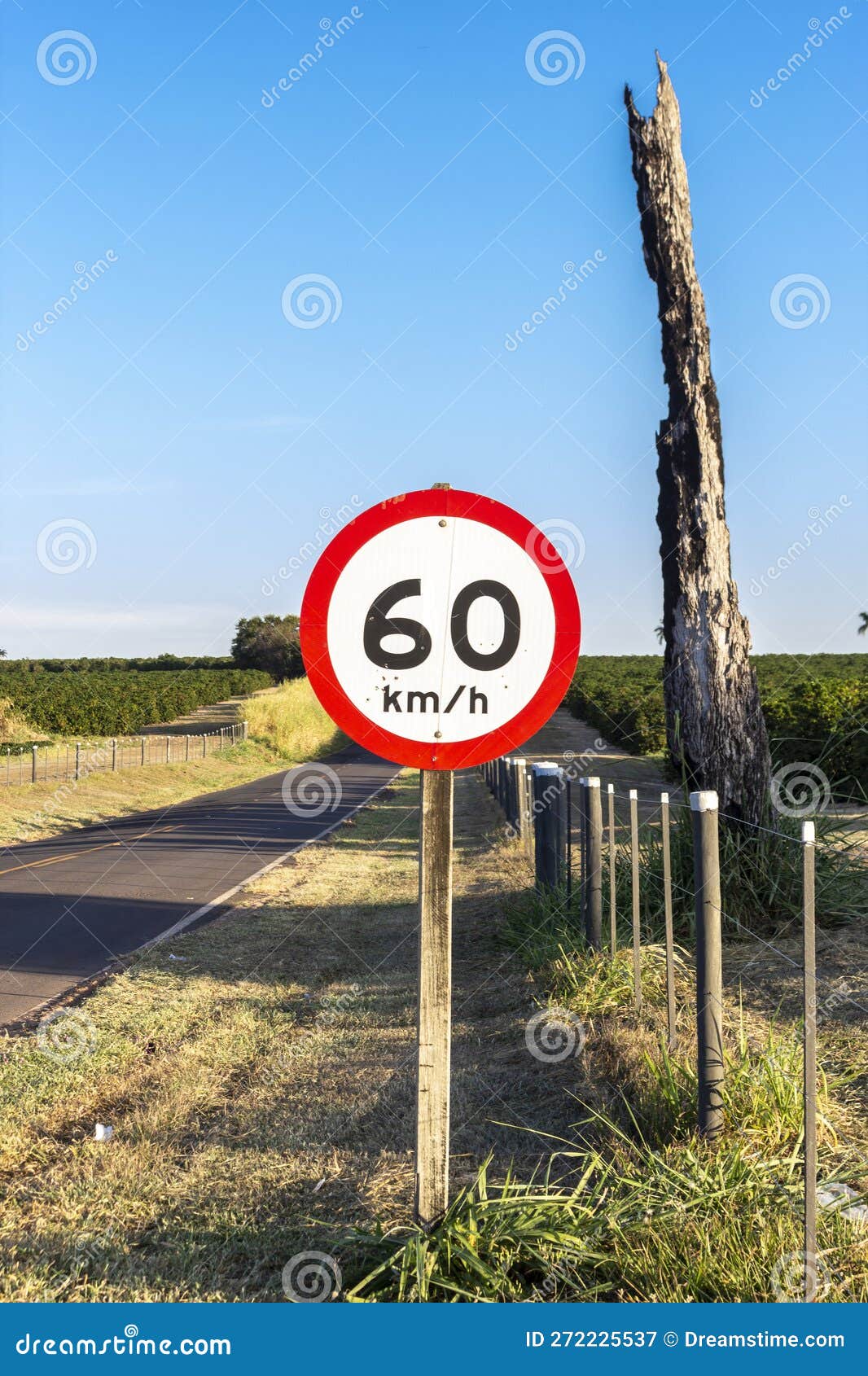 Traffic Signpost, Which Indicates the Maximum Speed Allowed at the ...