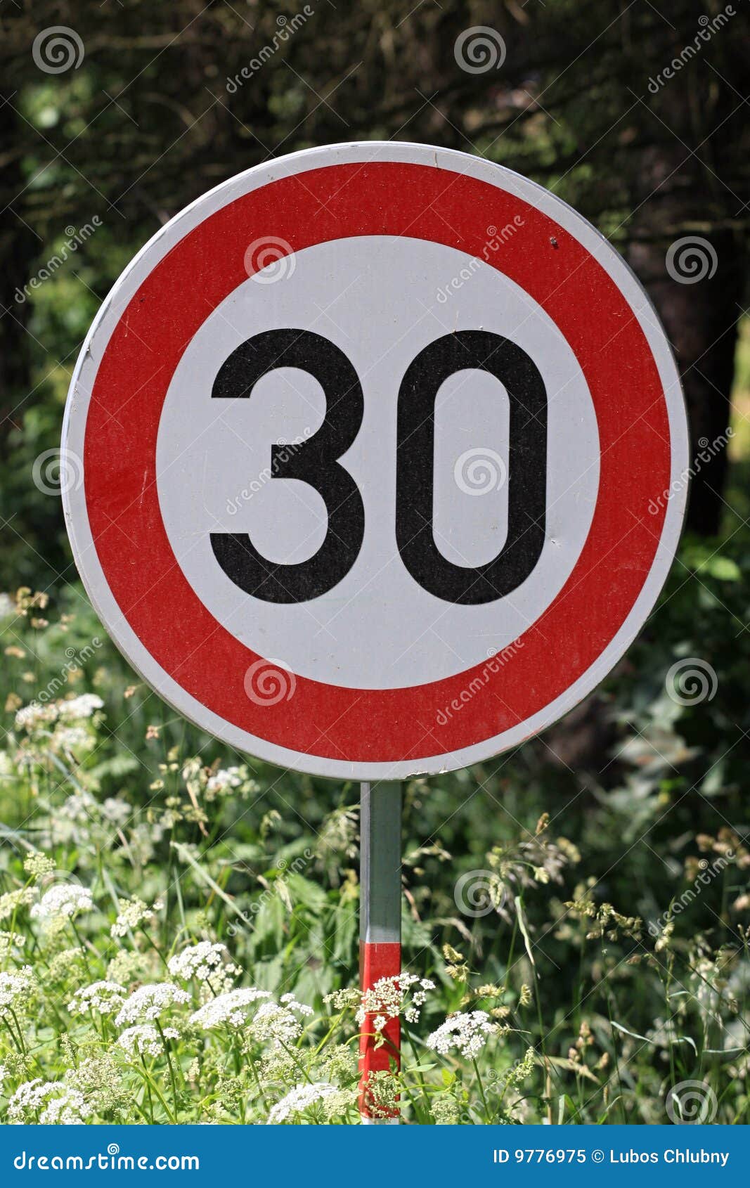 Traffic Signs Royalty-Free Stock Photography | CartoonDealer.com #9776975