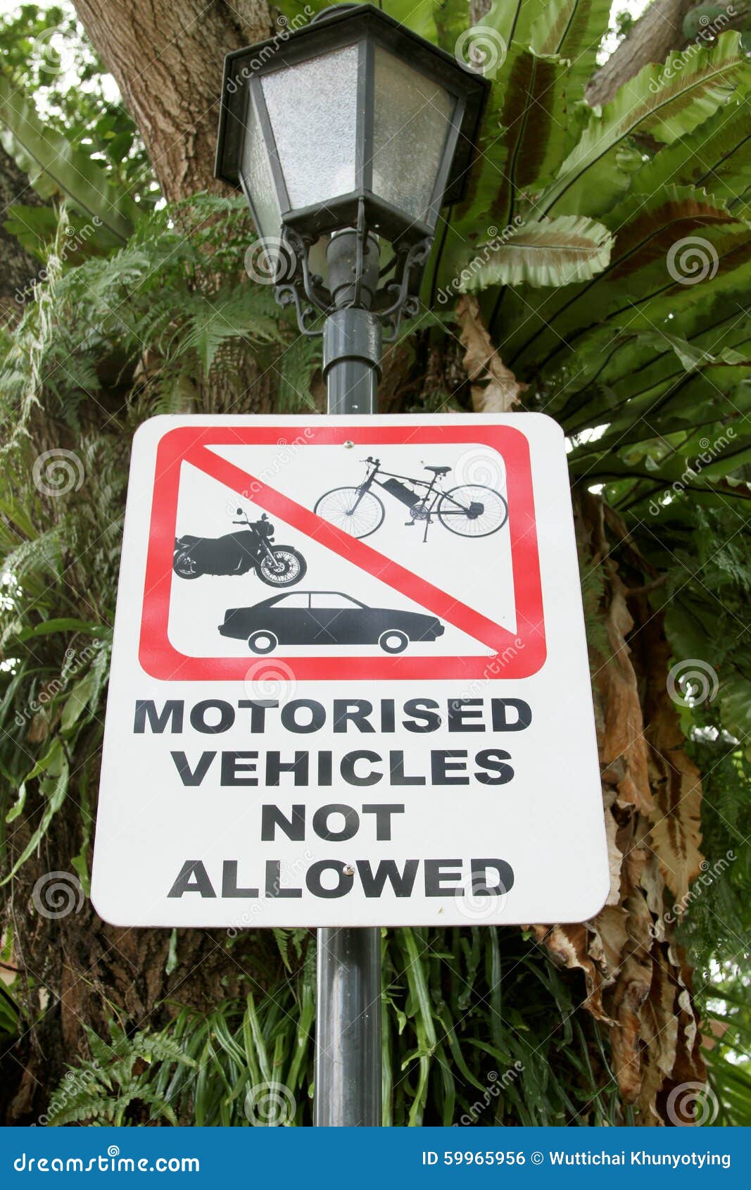 Traffic Signs Prohibit Parking Vehicles Stock Photo - Image of safety ...