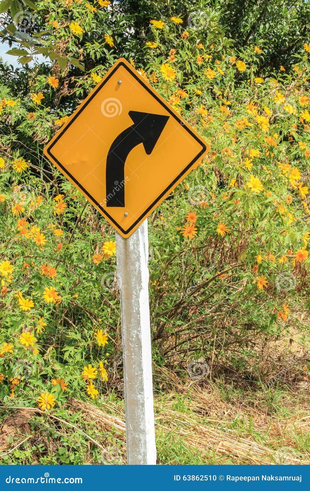 Traffic Signs stock photo. Image of shape, signage, message - 63862510