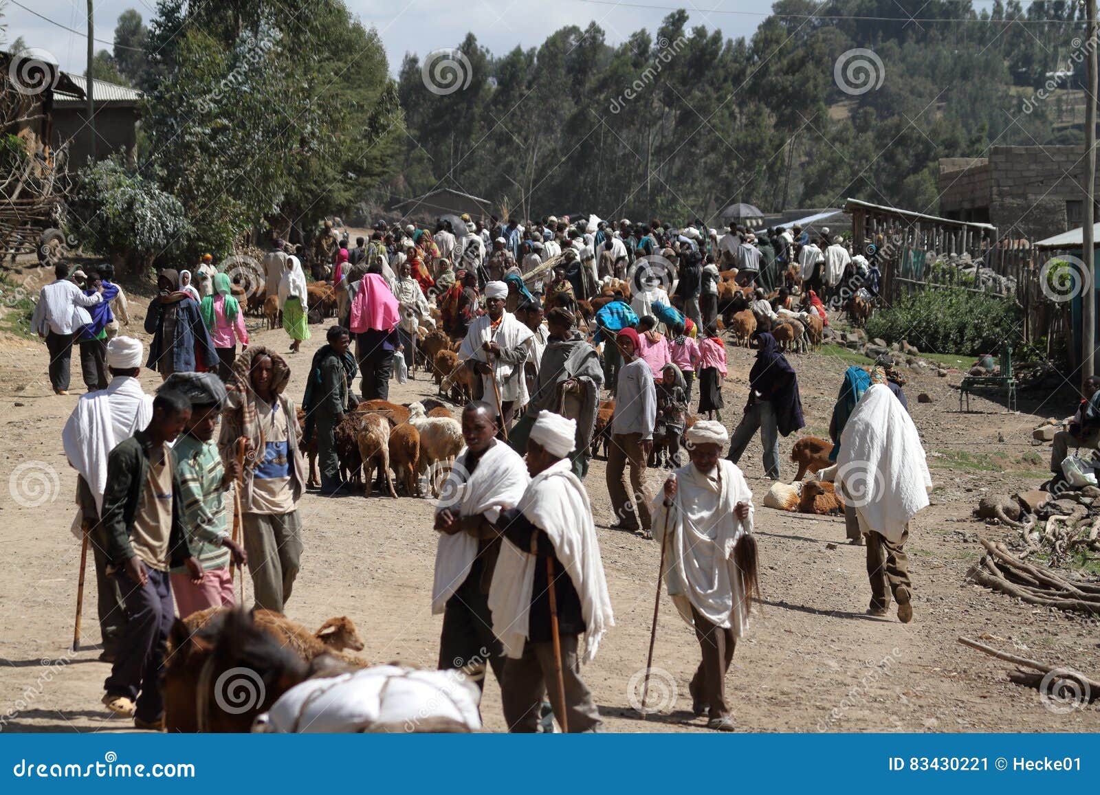 The Traffic in the Streets of Debark in Ethiopia Editorial Photo ...