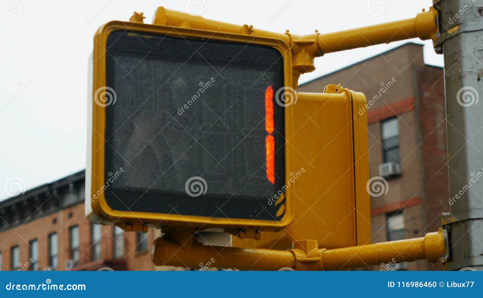 Trafficlight Pedestrian Halt Countdown Stock Footage - Video of signal ...