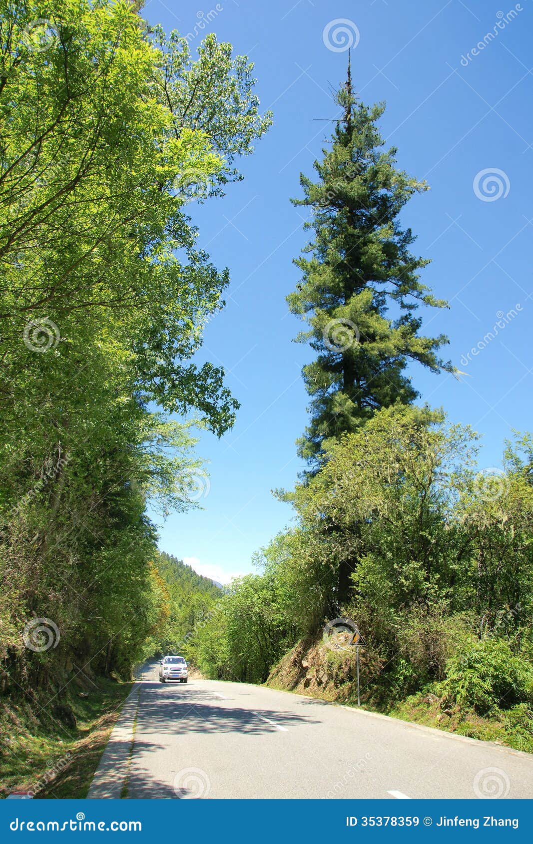 Trafficway and tree stock image. Image of trees, road - 35378359