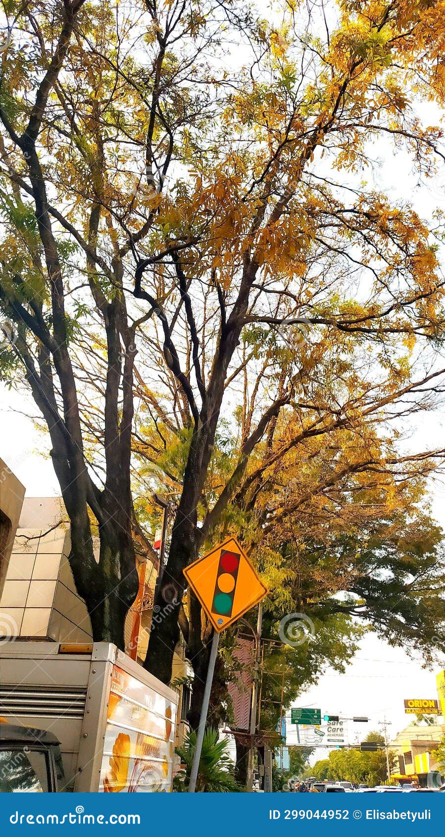 Trafic light sign stock photo. Image of summer, light - 299044952