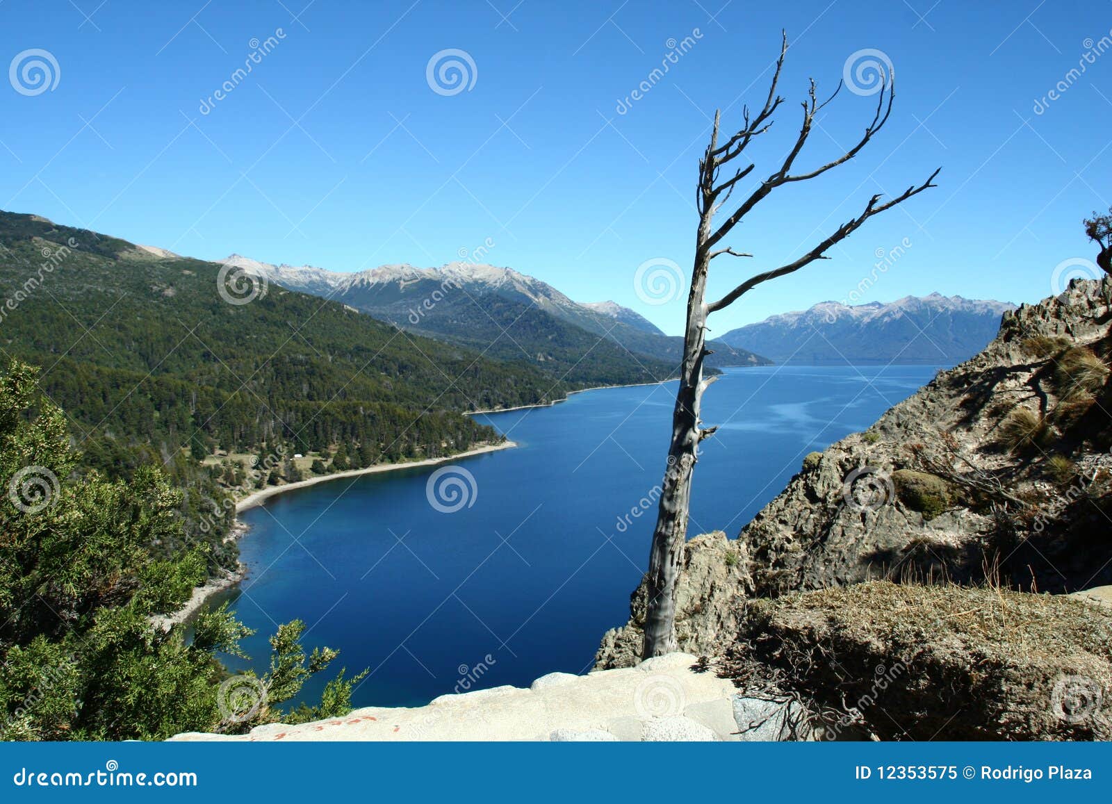 Traful Lake stock image. Image of neuquen, patagonia - 12353575