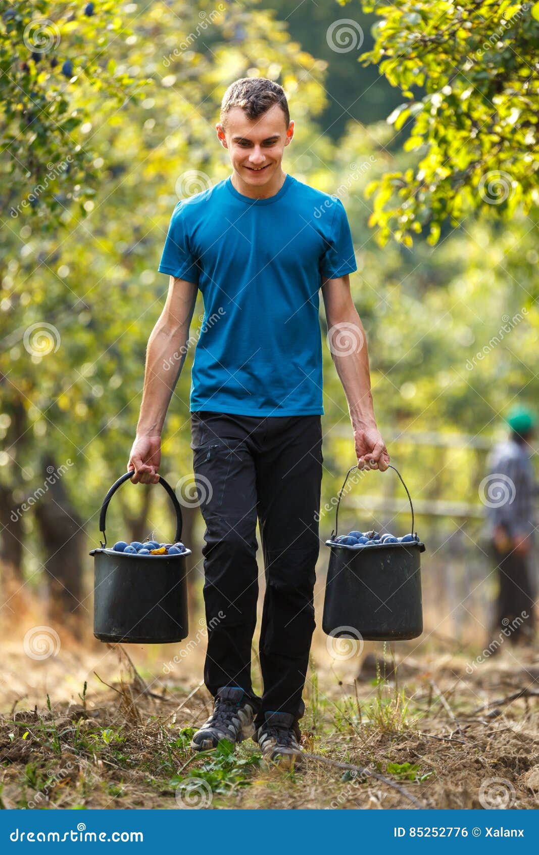 Tragende Eimer Des Teenagers Pflaumen Stockfoto - Bild von junge ...