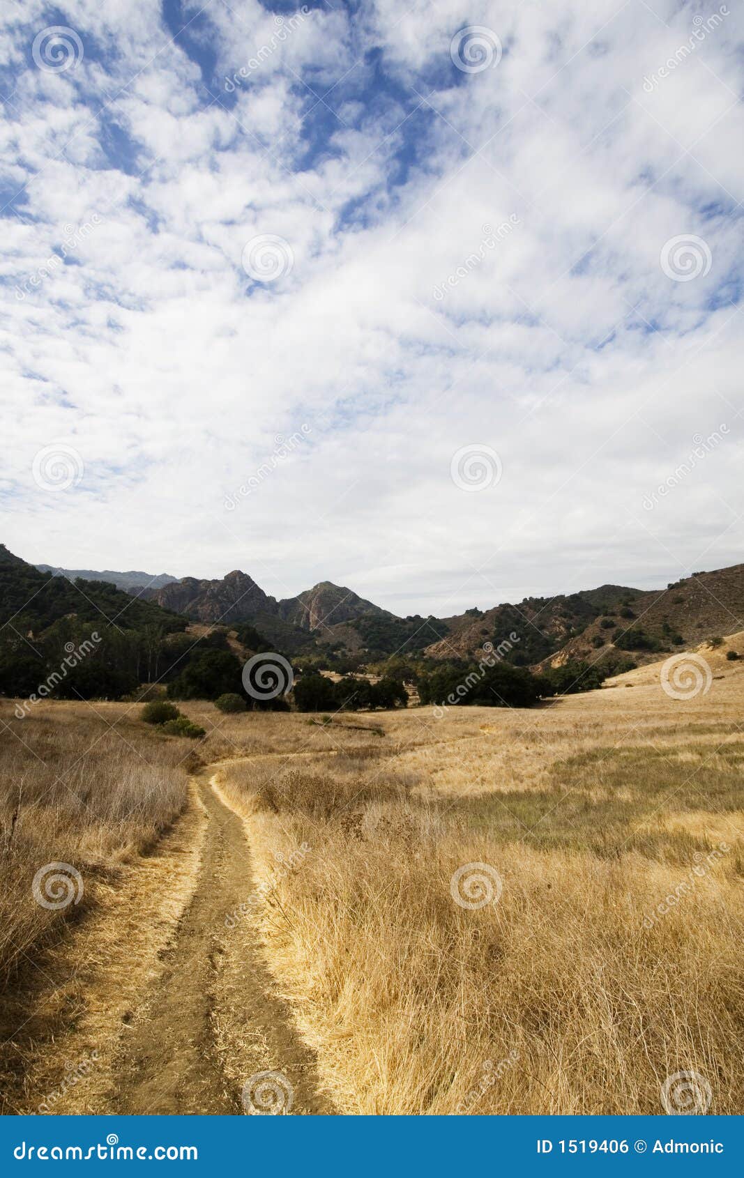 Trail stock photo. Image of nature, trees, mountain, backpacking - 1519406