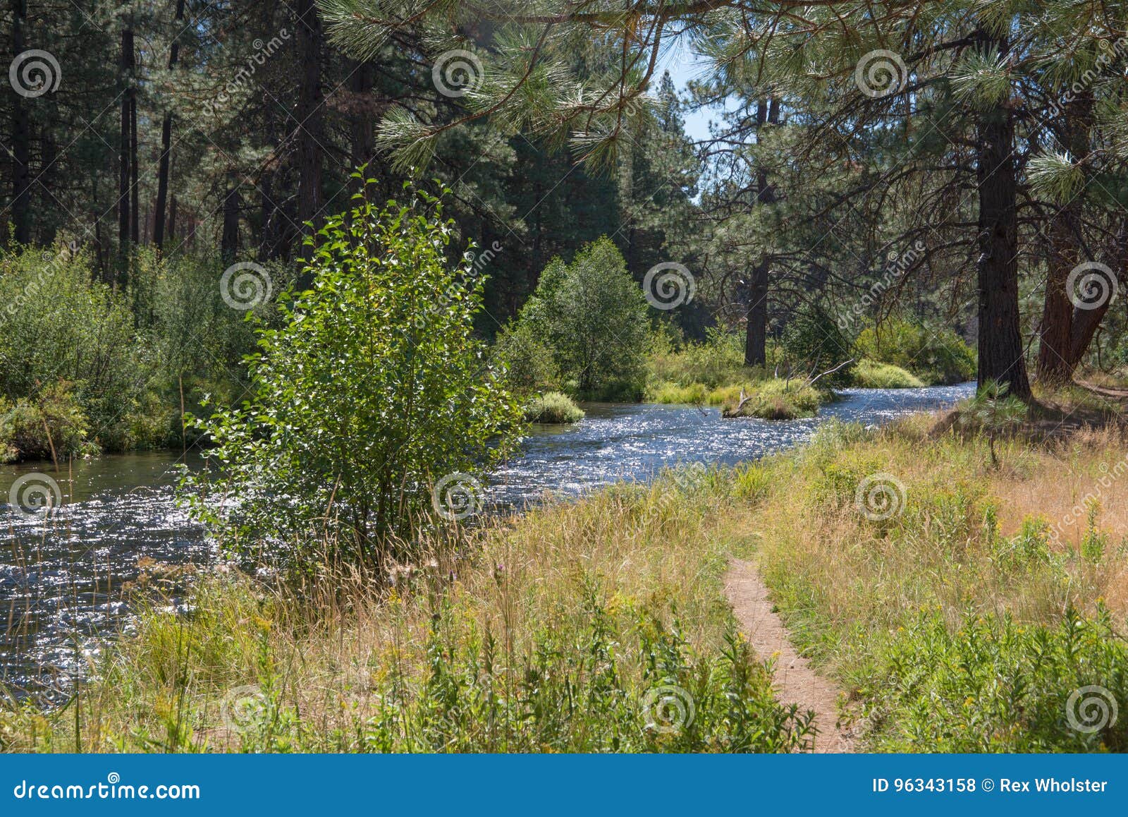 Trail Along Mountain Stream Stock Photo - Image of nature, river: 96343158