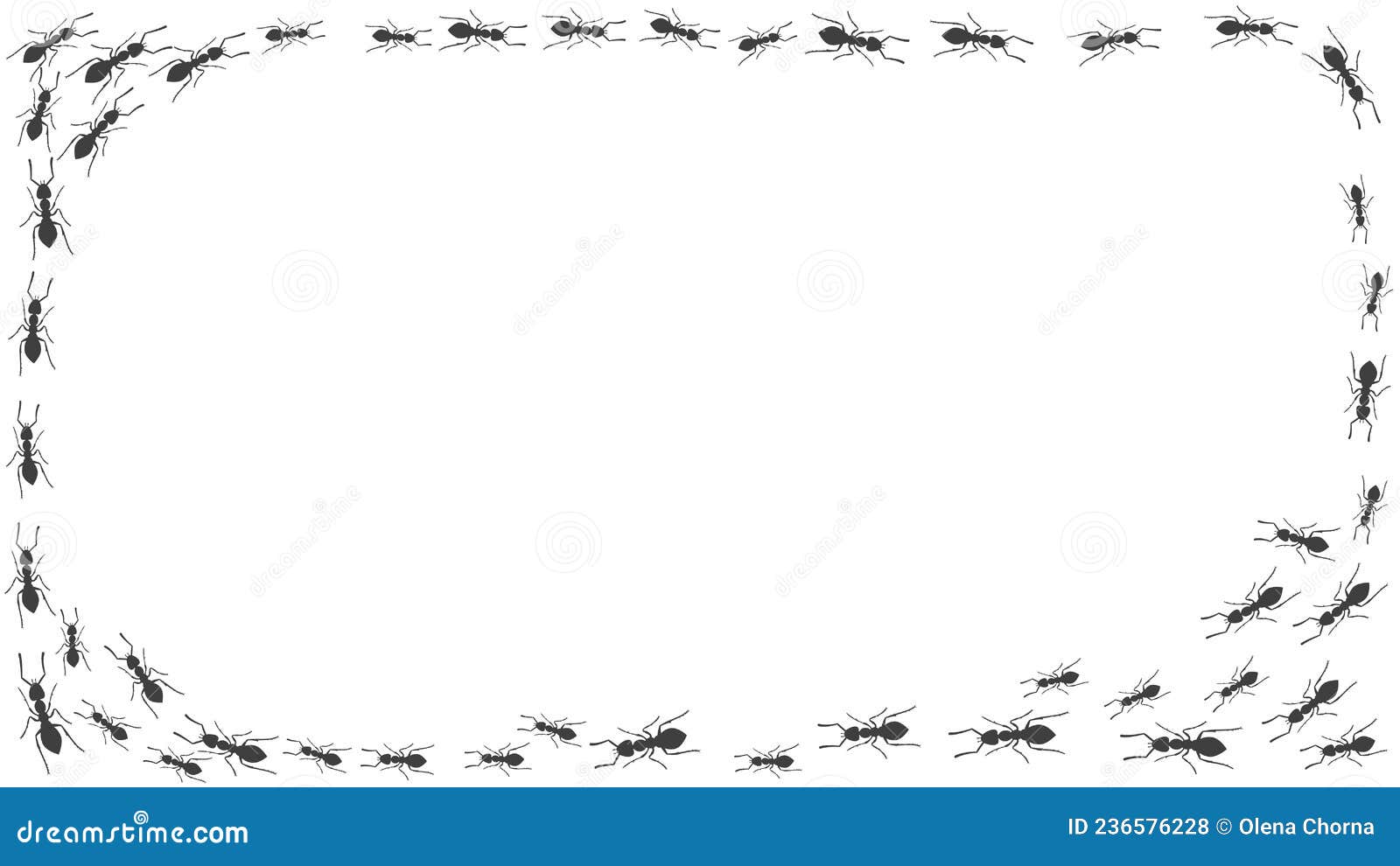 Trail of Ants. a Rectangle Frame of Insects Stock Vector - Illustration ...