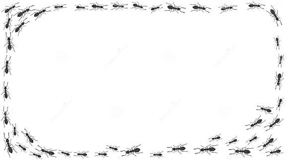 Trail of Ants. a Rectangle Frame of Insects Stock Vector - Illustration ...