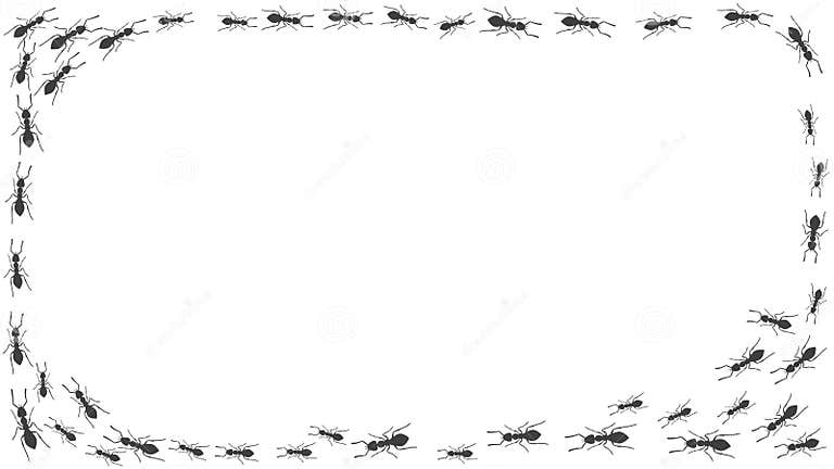 Trail of Ants. a Rectangle Frame of Insects Stock Vector - Illustration ...