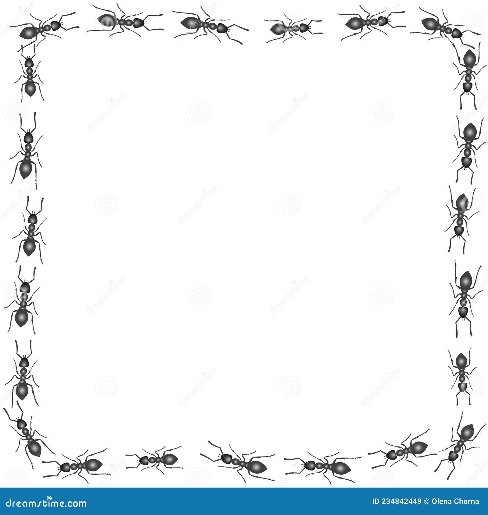 Trail of Ants. a Square Frame of Insects Stock Vector - Illustration of ...