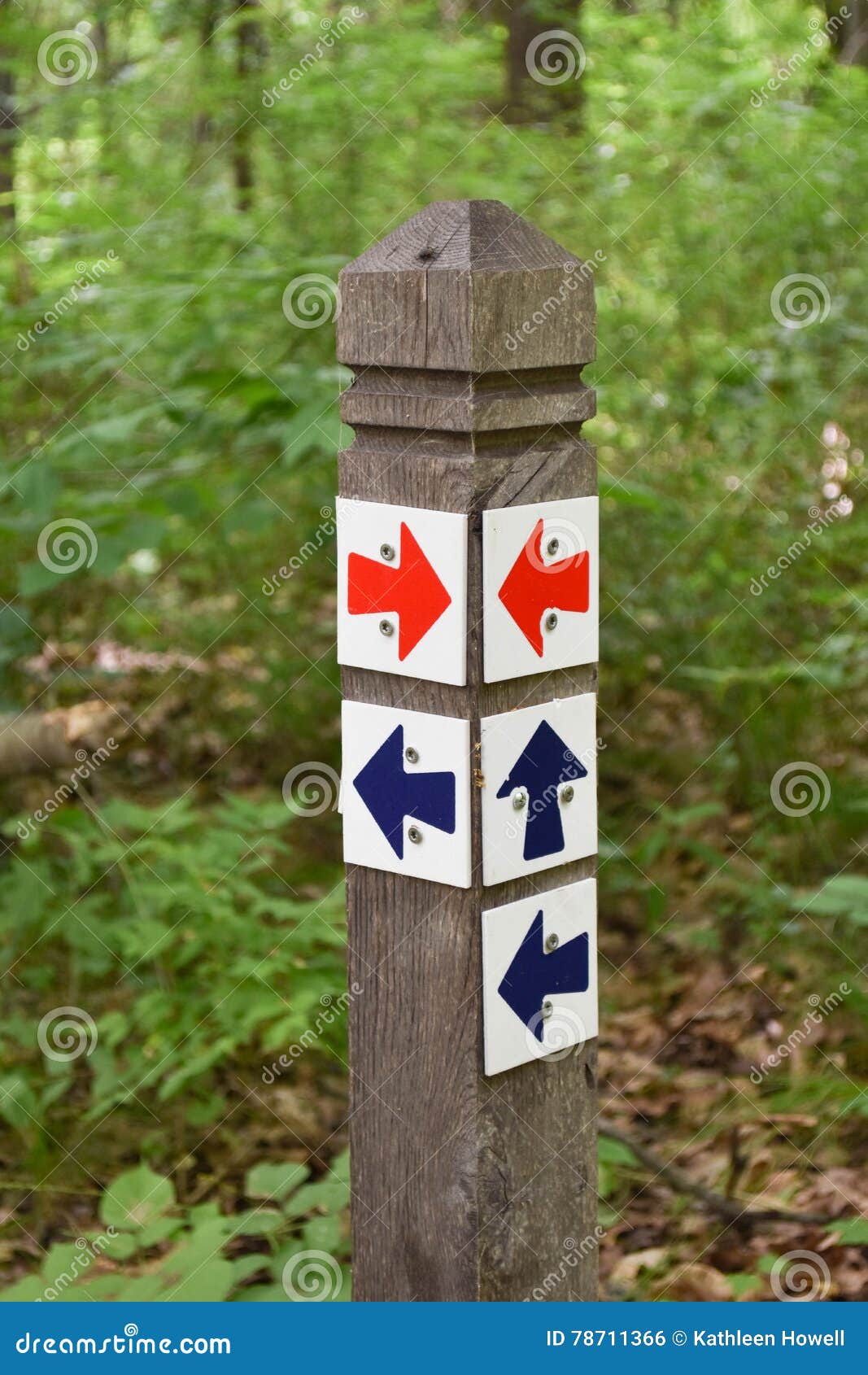 Trail Arrows stock photo. Image of leaf, left, signpost - 78711366
