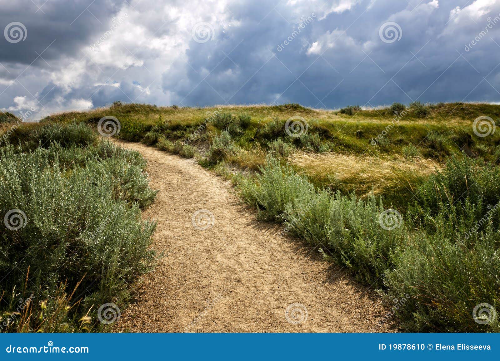 Trail in Badlands in Alberta, Canada Stock Photo - Image of plants ...