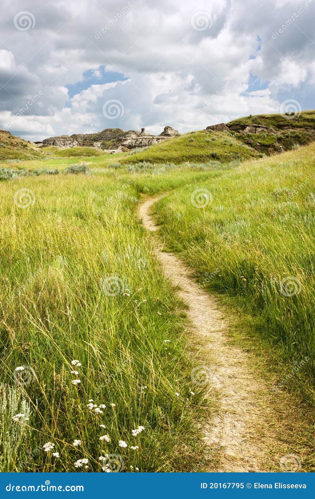 Trail in Badlands in Alberta, Canada Stock Image - Image of rocks ...