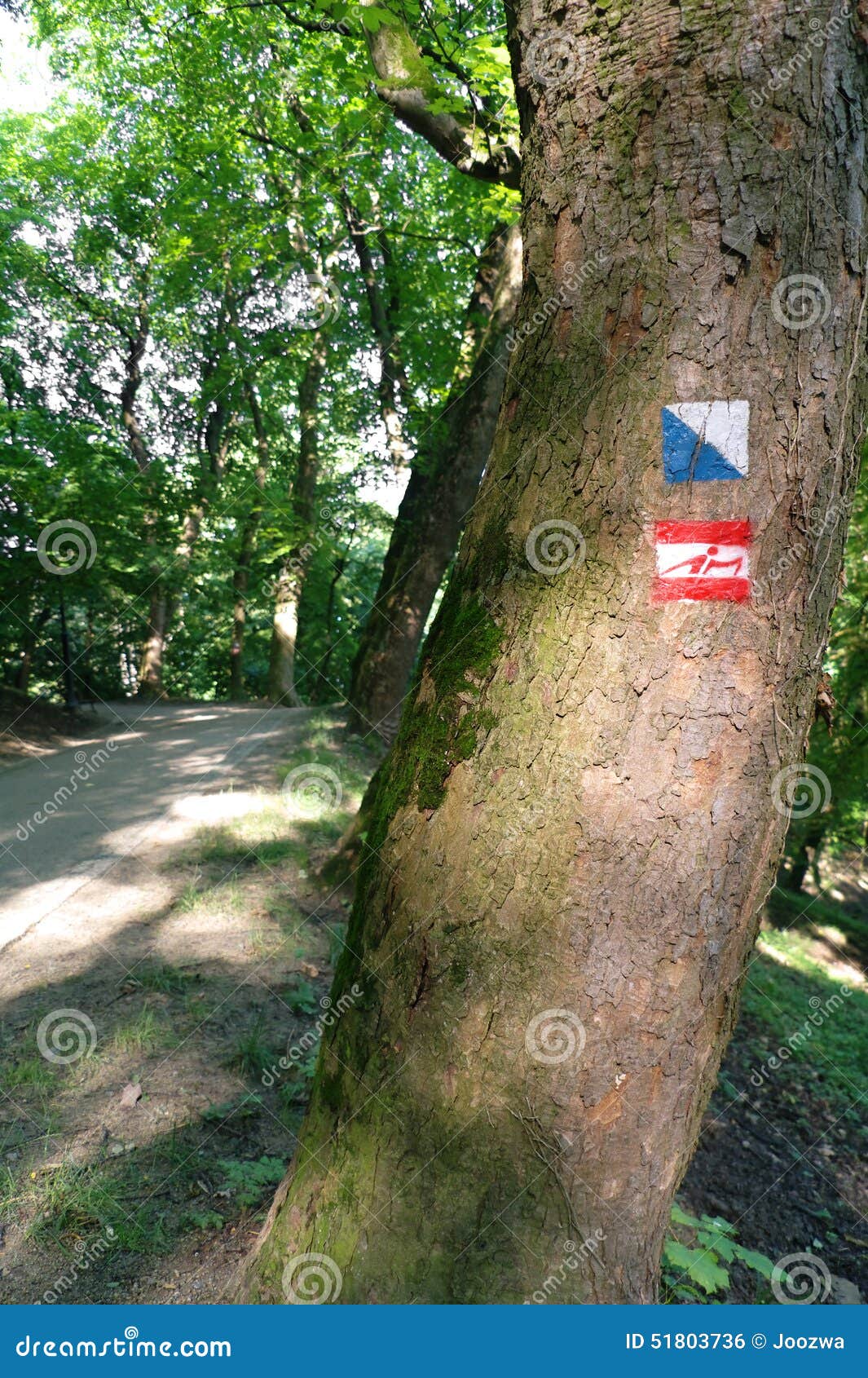 Trail blazing in Poland stock photo. Image of notification - 51803736