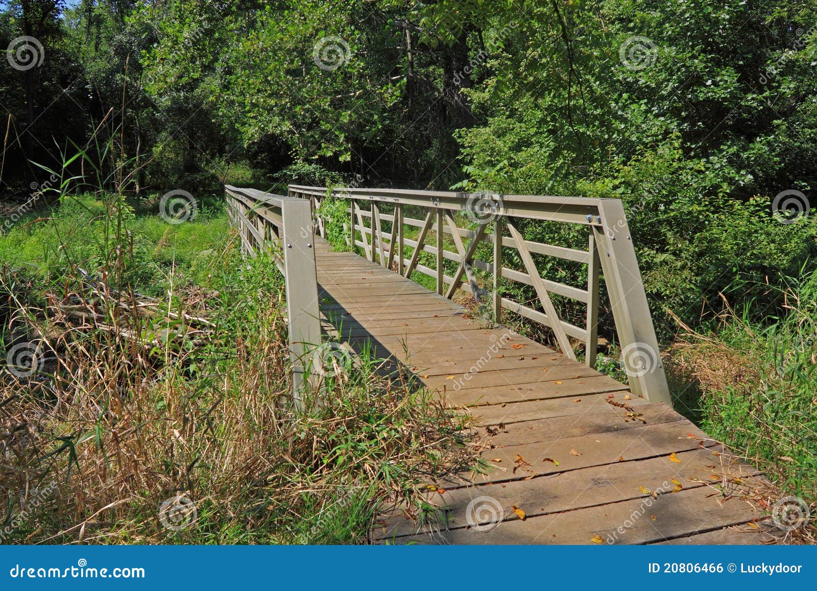 Trail Bridge Stock Photo | CartoonDealer.com #92704962