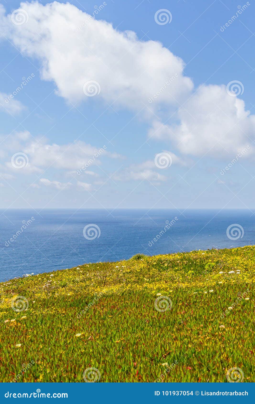 Trail in Cabo da Roca stock photo. Image of trekking - 101937054
