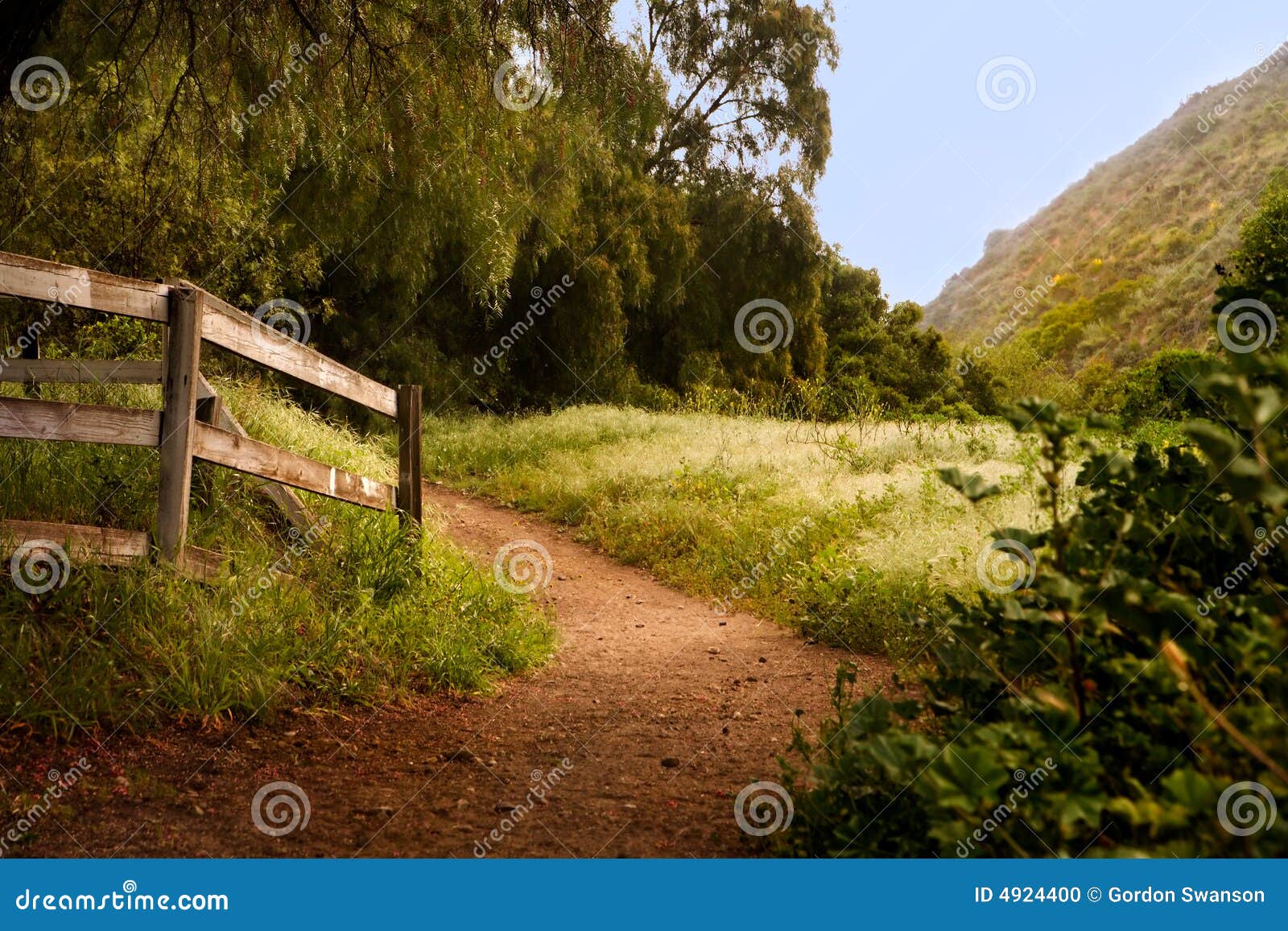 Trail in the Countryside stock photo. Image of mountain - 4924400