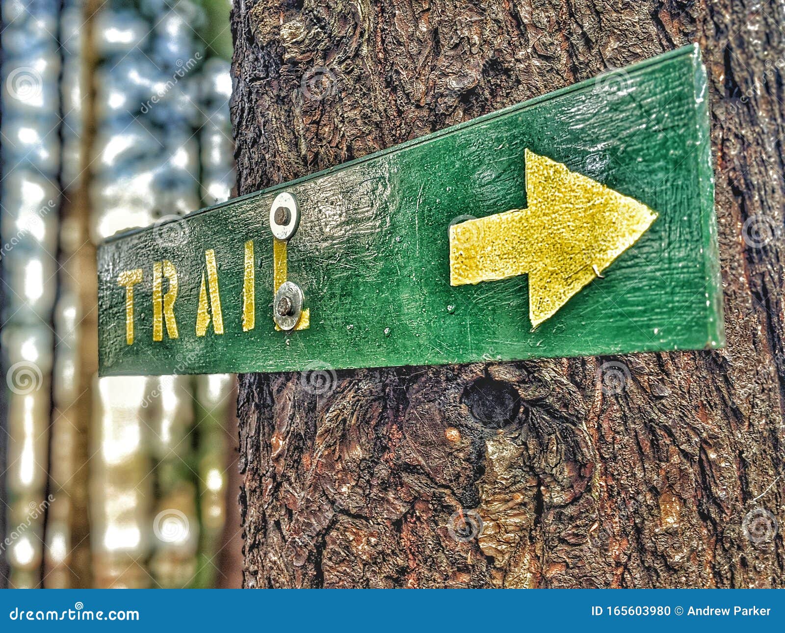 Trail Direction Arrow on Tree Pointing Stock Photo - Image of pointing ...