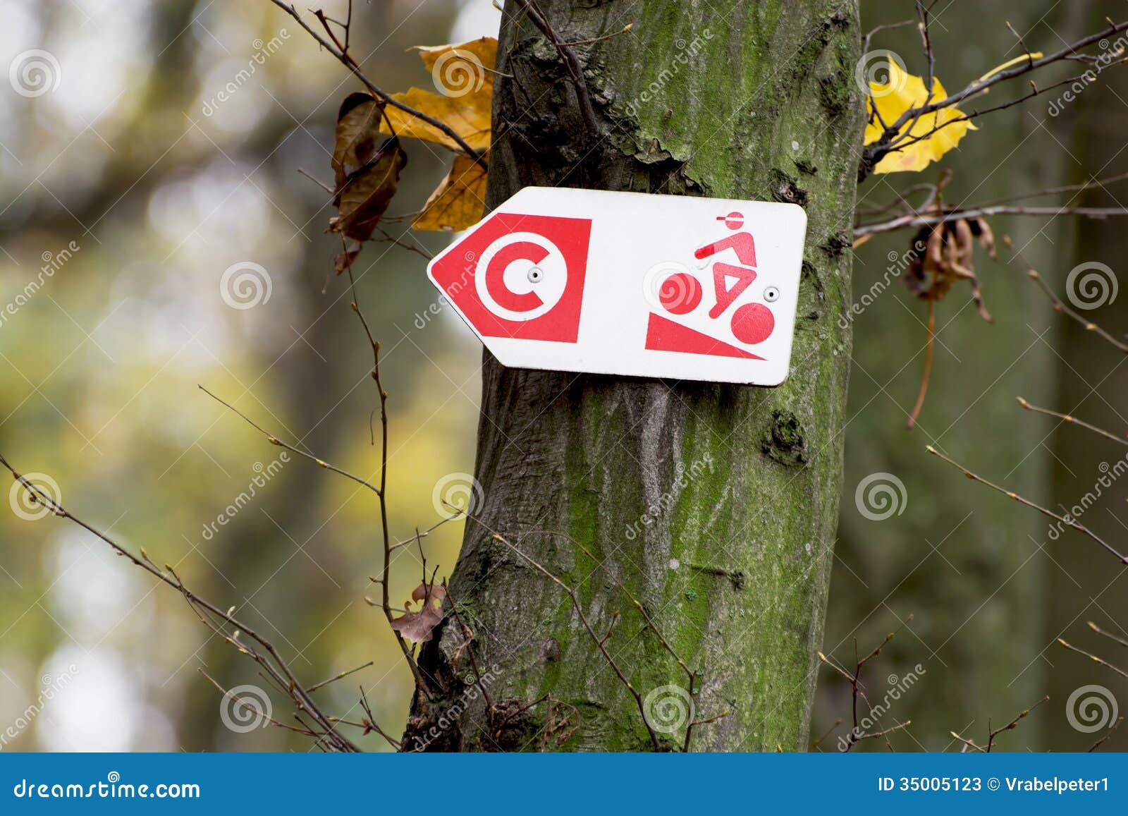 Trail Direction Cyclist Sign Stock Image - Image of pathway, direction ...