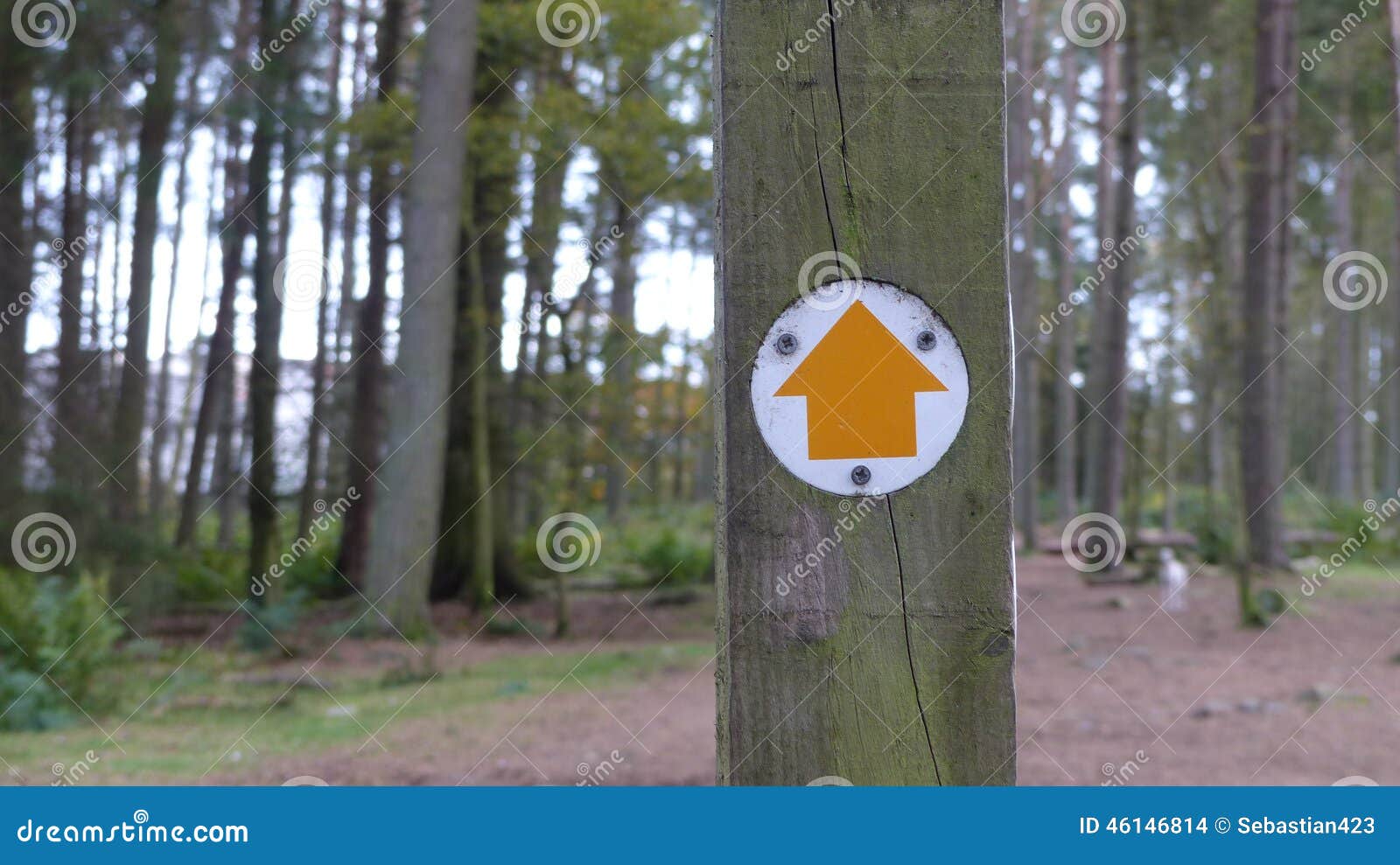 Trail Direction Straight Ahead Stock Photo - Image of woods, direction ...