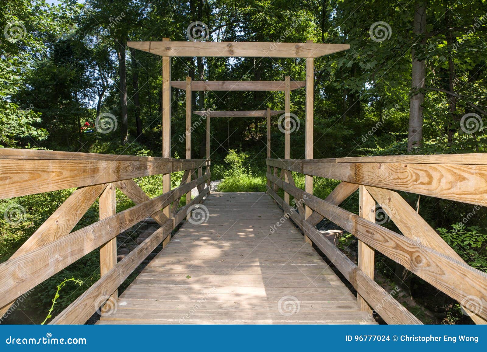 On the Trail stock photo. Image of jersey, object, scenic - 96777024