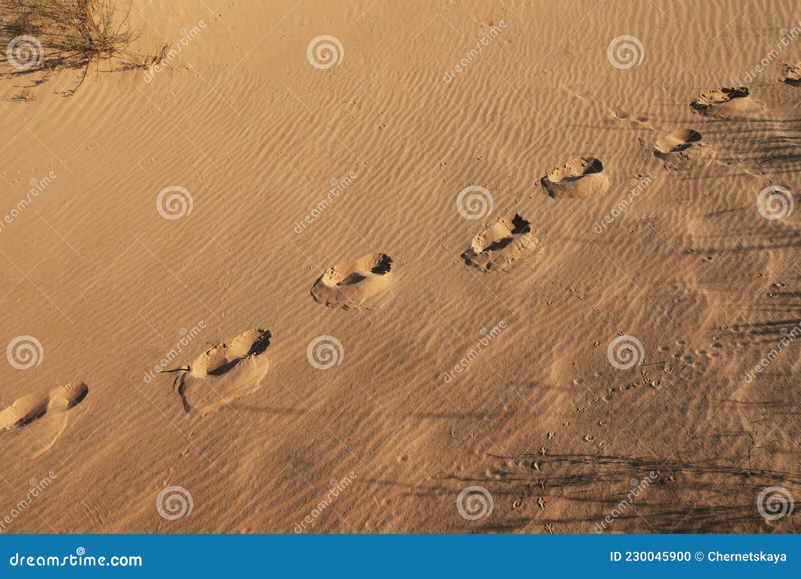 Trail of Footprints on Sand in Desert Stock Photo - Image of texture ...