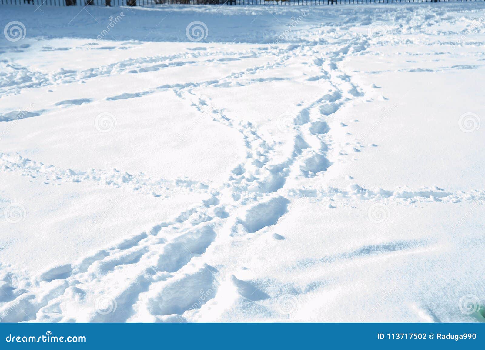 Footprints in the snow stock photo. Image of detail - 113717502