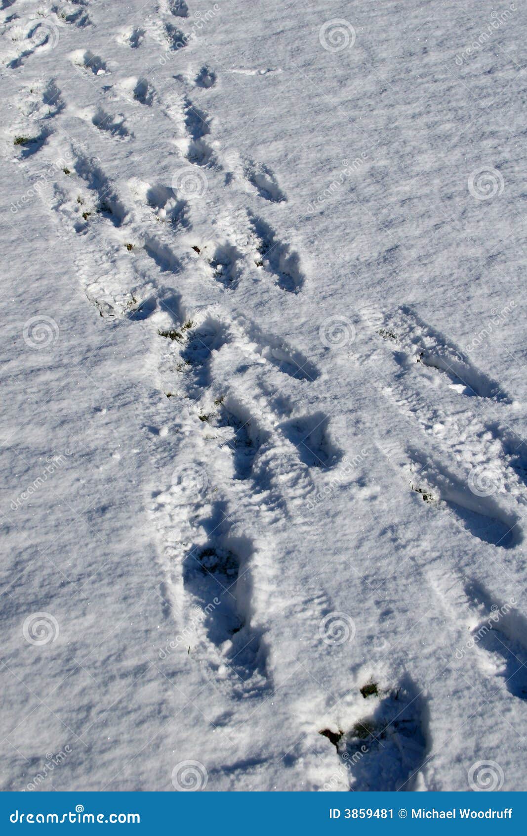 Trail of Footsteps stock image. Image of path, markings - 3859481