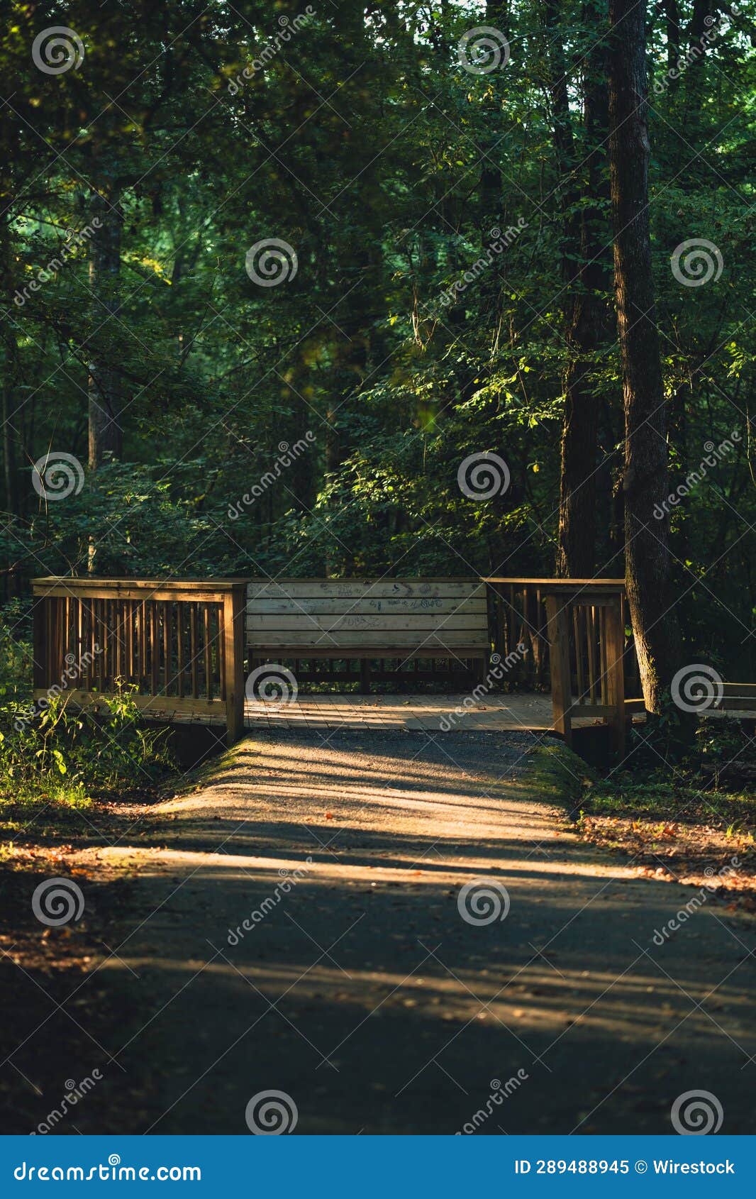 A Trail in the Forest with Benches and a Bench on One Side Stock Image ...