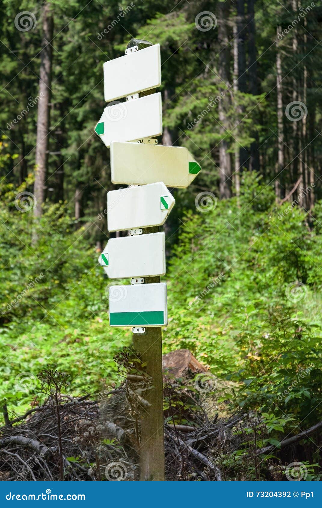 Trail Forest Direction Sign Crossroad Post Stock Photo - Image of walk ...