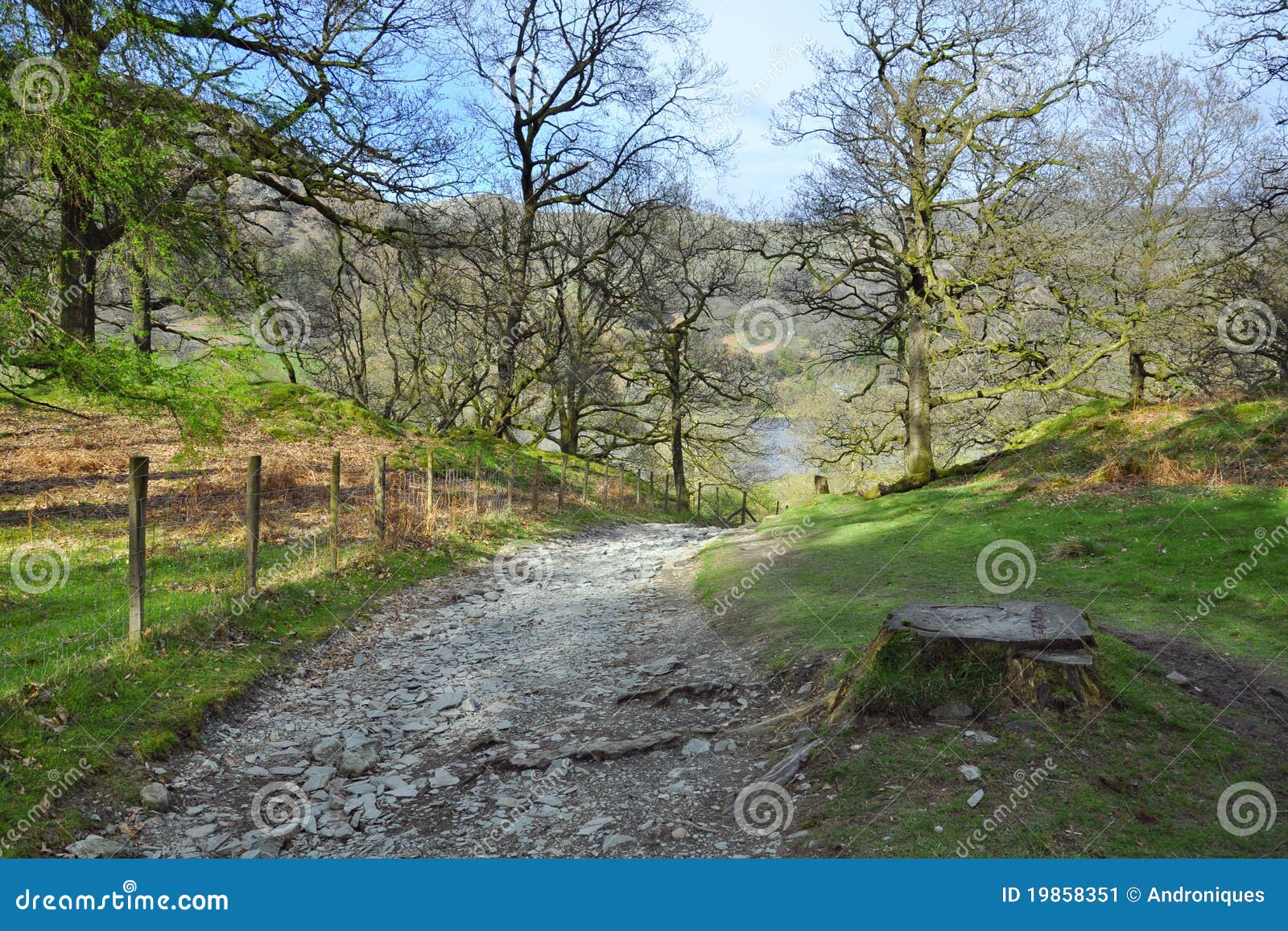 Trail in Forest in Hilly English Countryside Stock Image - Image of ...